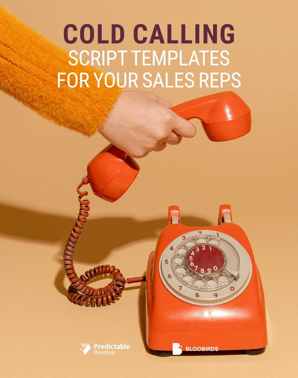 [eBook] Cold Calling Script Templates For Your Sales Reps
